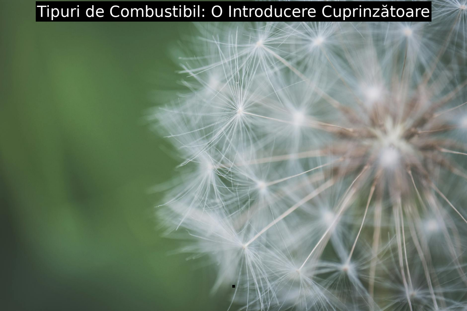 Tipuri de Combustibil: O Introducere Cuprinzătoare - Energie Sustenabila