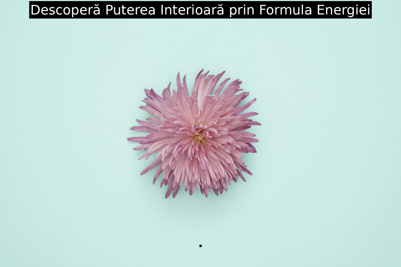 Tipuri de frunze: Introducere în lumea vegetației - Energie Sustenabila
