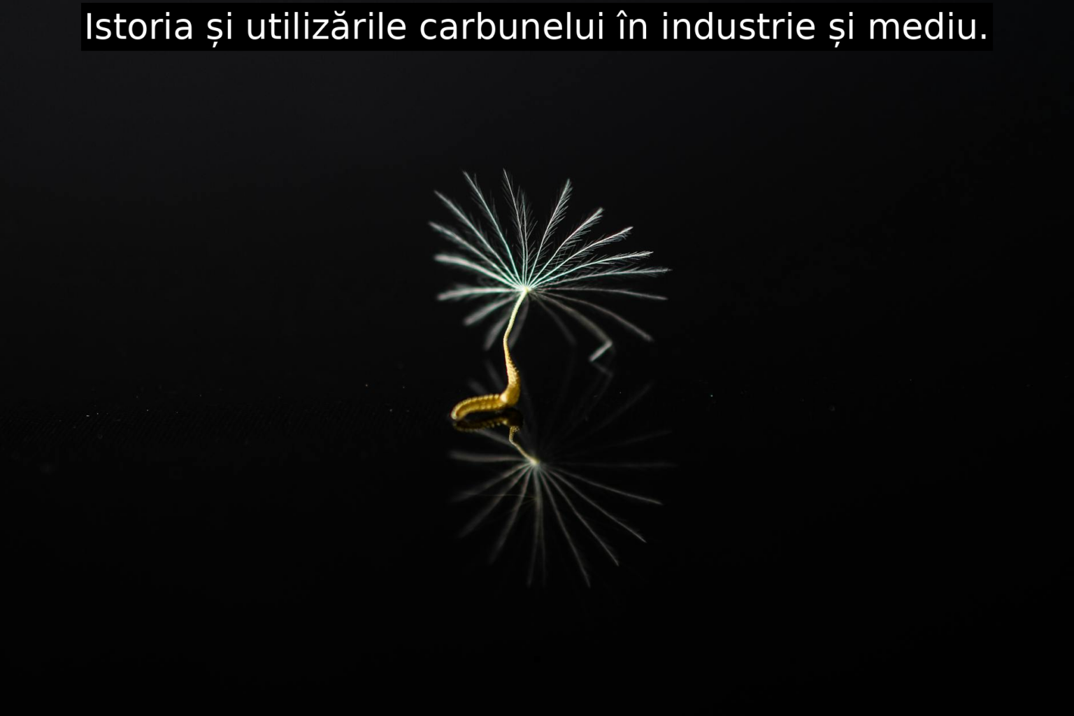 Tipuri de frunze: Introducere în lumea vegetației - Energie Sustenabila
