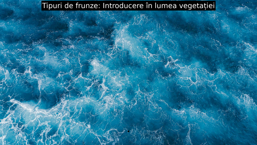 Tipuri de frunze: Introducere în lumea vegetației - Energie Sustenabila