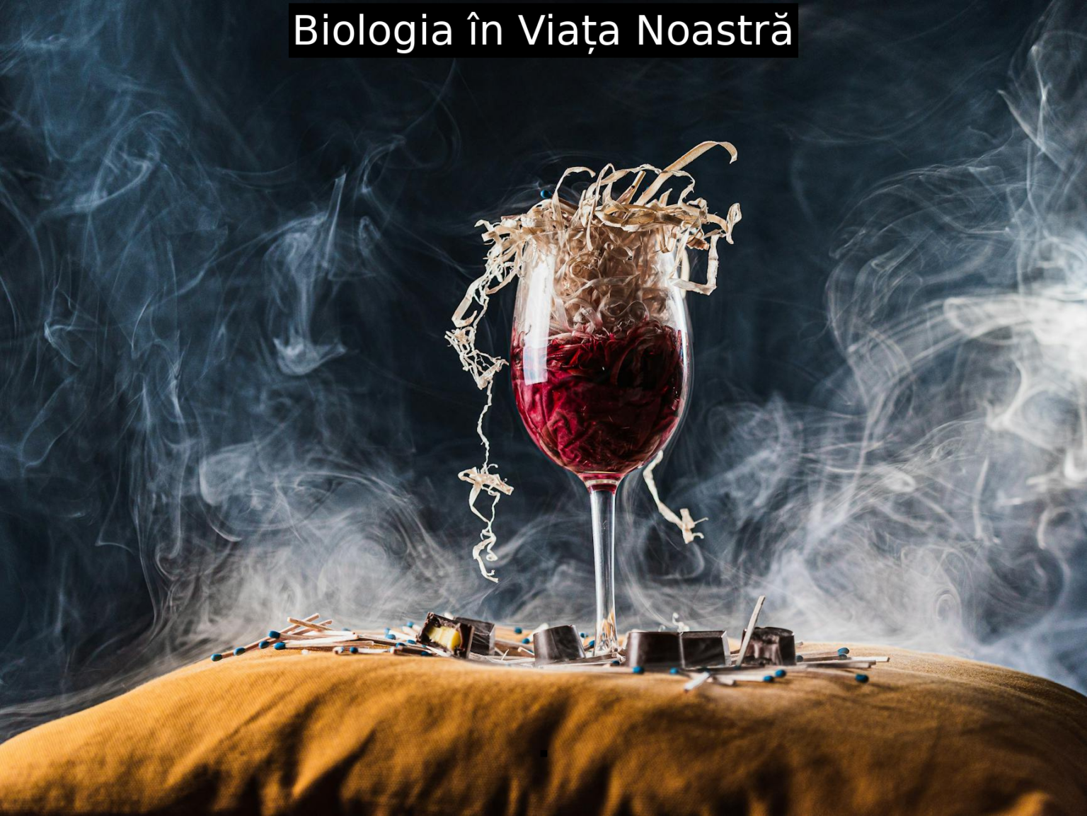 Calitatea solului: importanță, caracteristici și gestionare durabilă ...